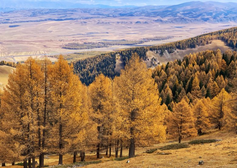 Best Places to Visit in China in Autumn - JustChinaTours