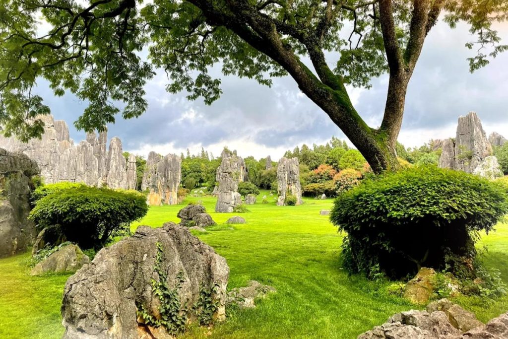 Kunming Stone Forest: China’s Breathtaking Karst Masterpiece